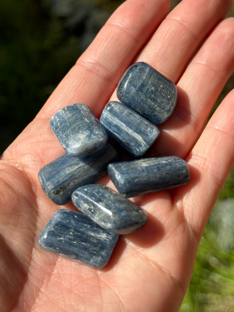 FAE Rocks Crystals & Metaphysical Tools in Santa Monica, CA – Far Arden ...